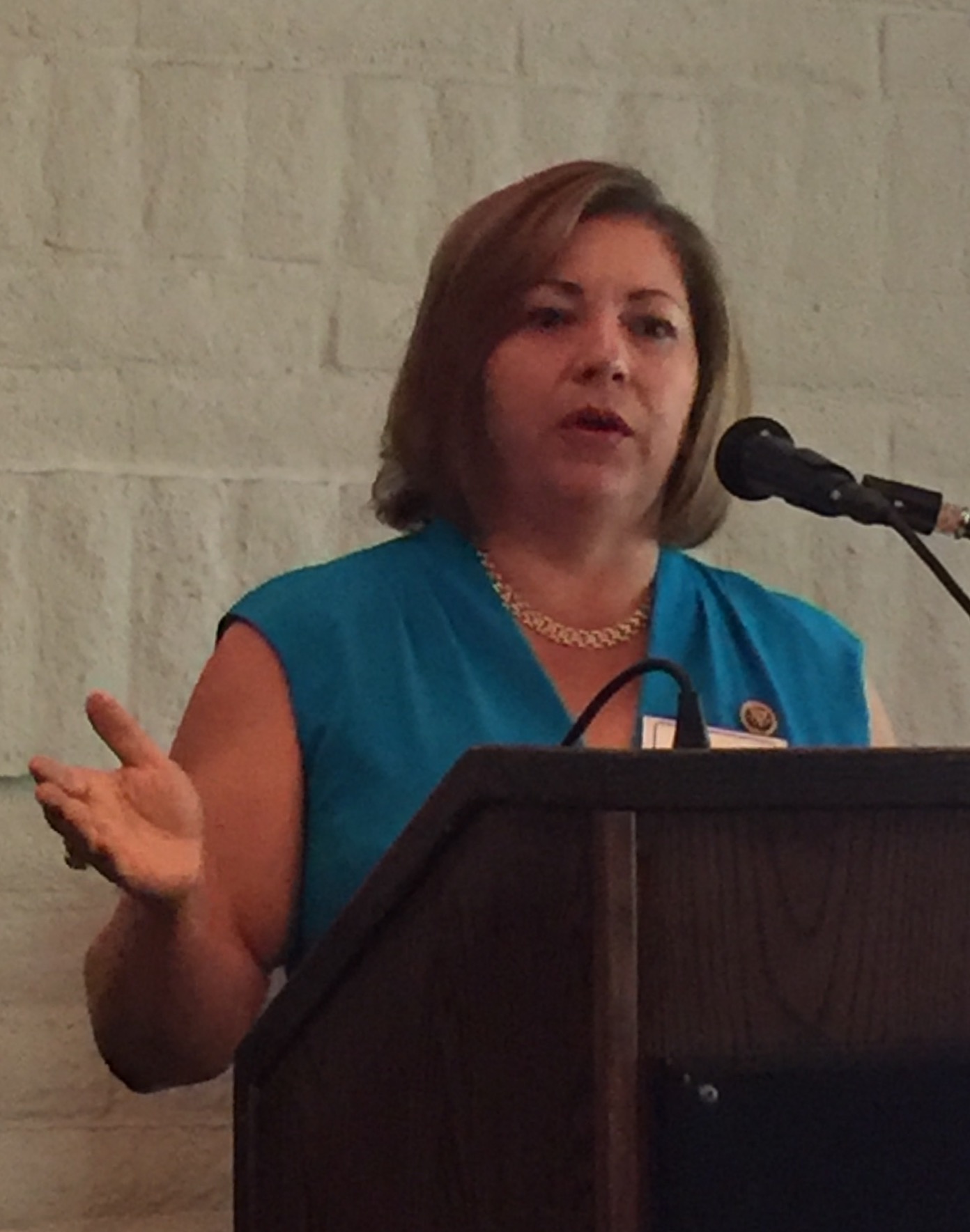 Lunch with Congresswoman Linda Sanchez - April 4, 2016 - Women in ...
