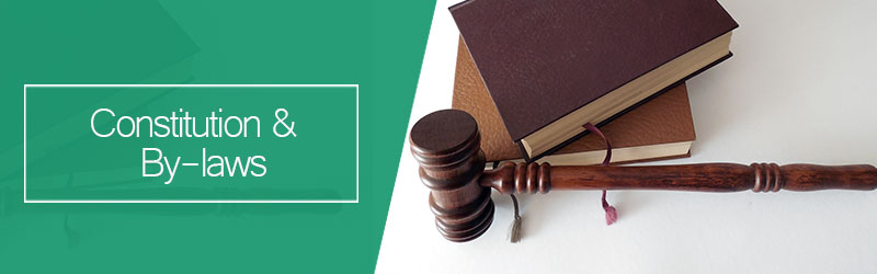 Constitution and By-Laws - Workers United Canada Council