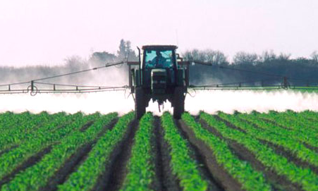 How Industrial Farming Is Harming Our Gut - Moms Across America